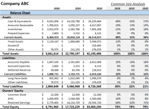What is a Common-Size Balance Sheet? – 365 Financial Analyst