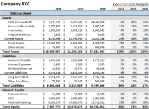What is a Common-Size Balance Sheet? – 365 Financial Analyst