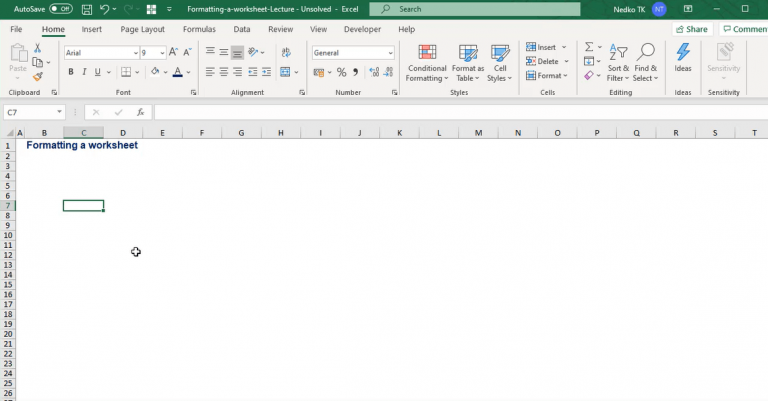 Formatting an Excel Worksheet Professionally – 365 Financial Analyst