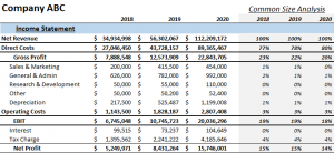 What is a Common-Size Income Statement? – 365 Financial Analyst
