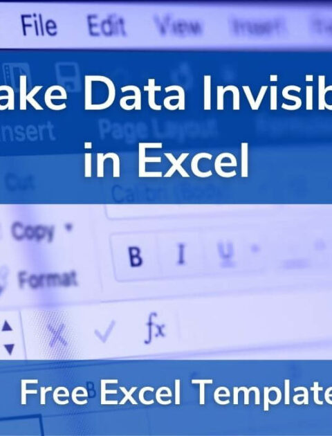 Make Data Invisible Excel Template 365 Financial Analyst