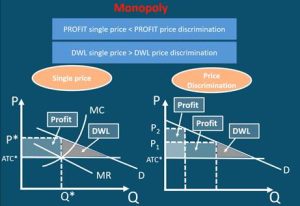 What Is a Monopoly in Economics? – 365 Financial Analyst